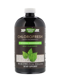 Nature's Way Chlorofresh Liquid Chlorophyll Supplement - Mint Flavor ...