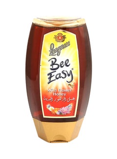 Langnese Bee Easy Wild Flower Honey 250grams UAE | Dubai, Abu Dhabi