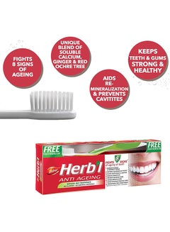 Dabur Herbal Antiageing Natural Red Toothpaste With Free Toothbrush ...
