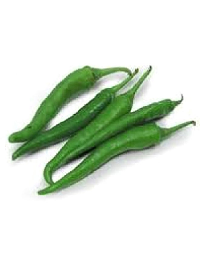 Fresh Organic Chilli Green Egypt 250grams | Best Price UAE | Dubai, Abu ...