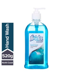 Frida hands Liquid Hand wash North Coast blue 520grams | Best Price ...