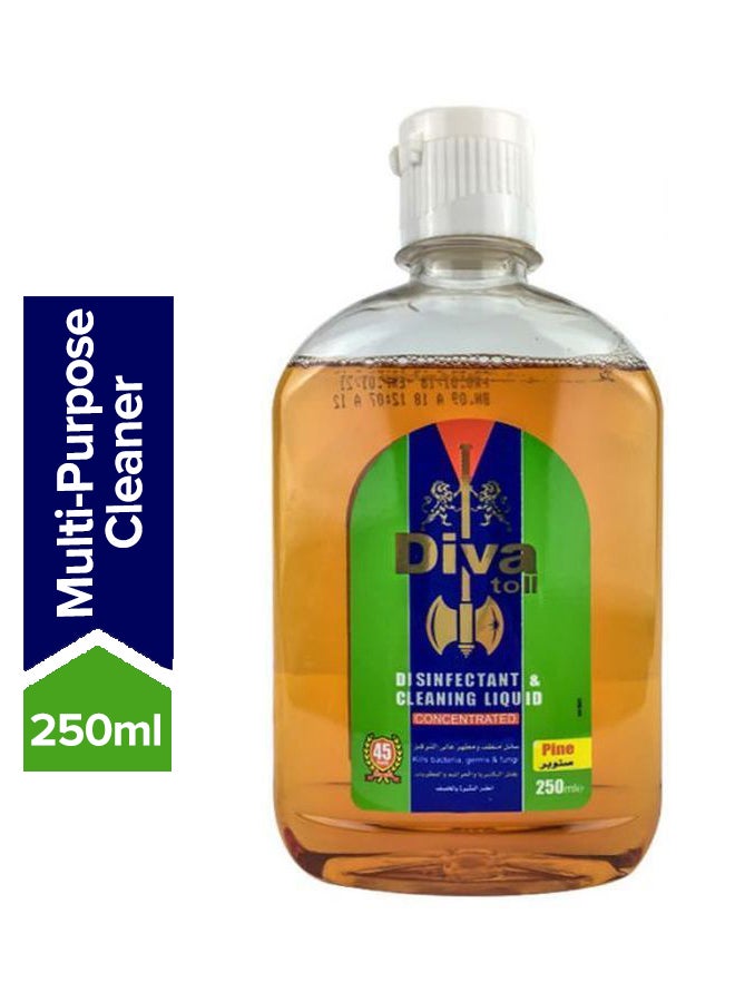 Diva toll Concentrated Disinfectant And Cleaning Liquid Orange 250ml ...