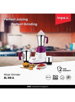 Impex 3-In-1 Mixer Grinder- Copper Motor, Unbreakable ABS Body ...
