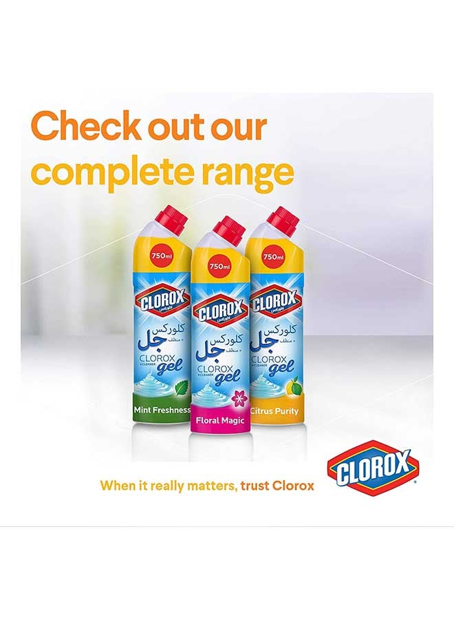 Buy Clorox Floral Magic Clorox Plus Cleaner Gel Online | 15 Minutes ...
