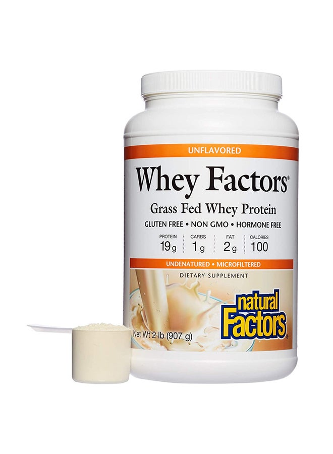 natural Factors Unflavoured Whey Factors Protein Dietary Supplement ...