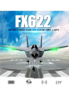 MYTOYS FX622 2CH Remote Control Airplane F22 Jet Indoor Outdoor RC ...